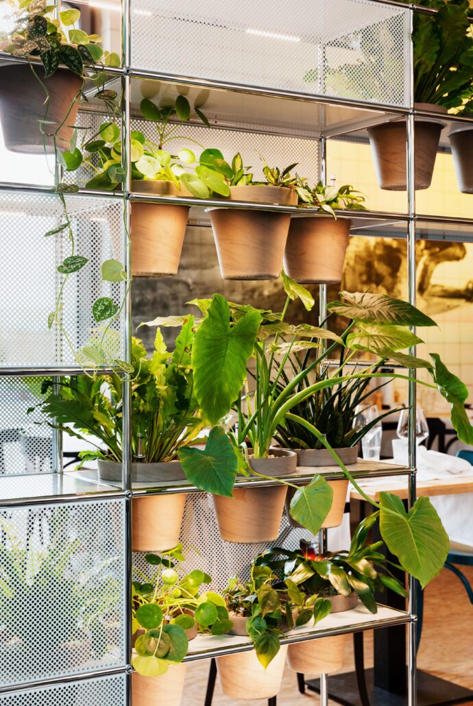 「把心愛的盆栽放在USM櫃子上」－瑞士系統櫃品牌 USM 現在也能放植物了。 - EVERYDAY OBJECT