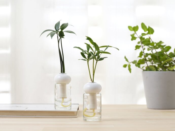 HOLA 全台首家「都會概念店」中和環球開幕，三大亮點為生活提案 - EVERYDAY OBJECT