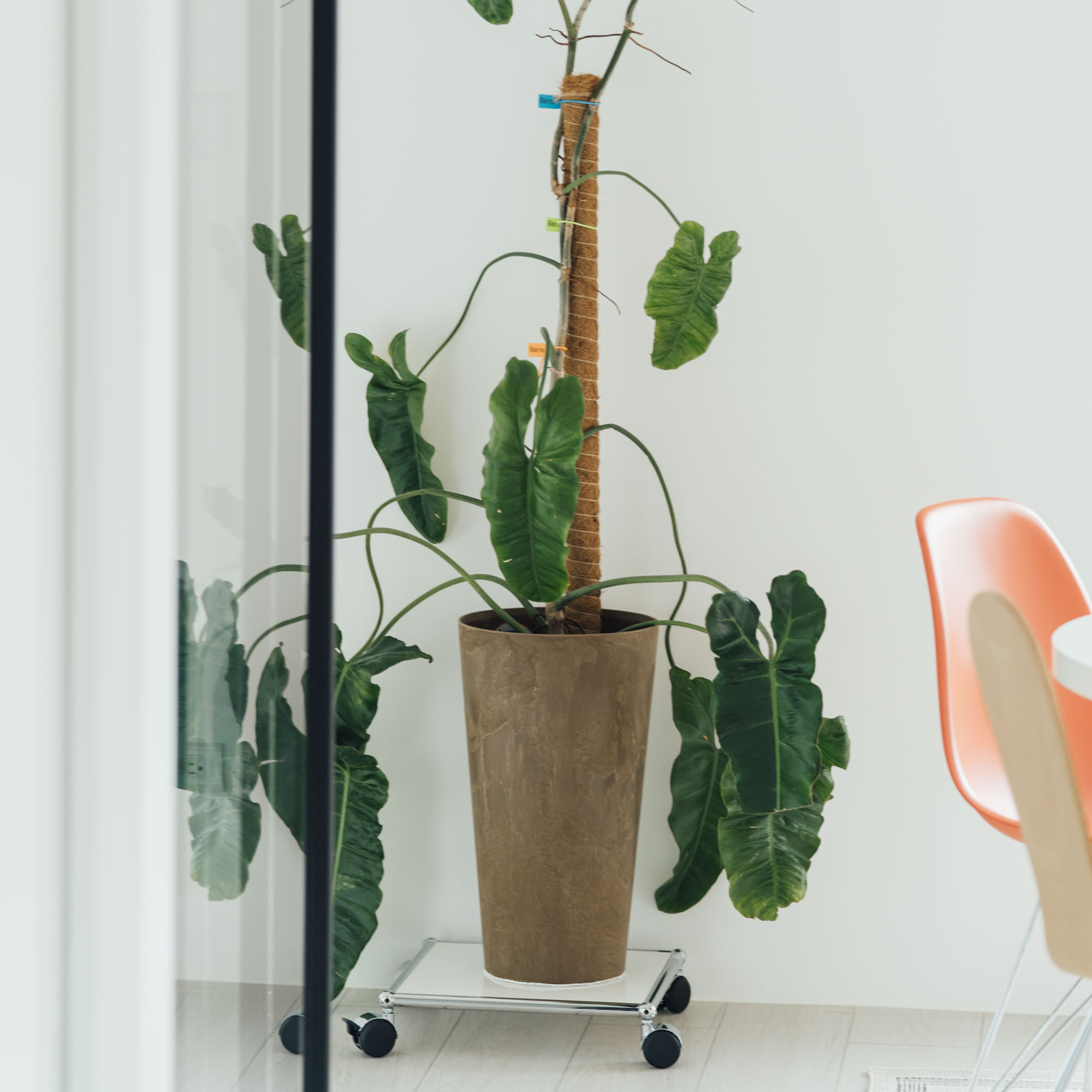 「每一樣都足以成為主角」兼具實用與風格的居家軟裝：EO DECO 一號作品選物細節篇 - EVERYDAY OBJECT