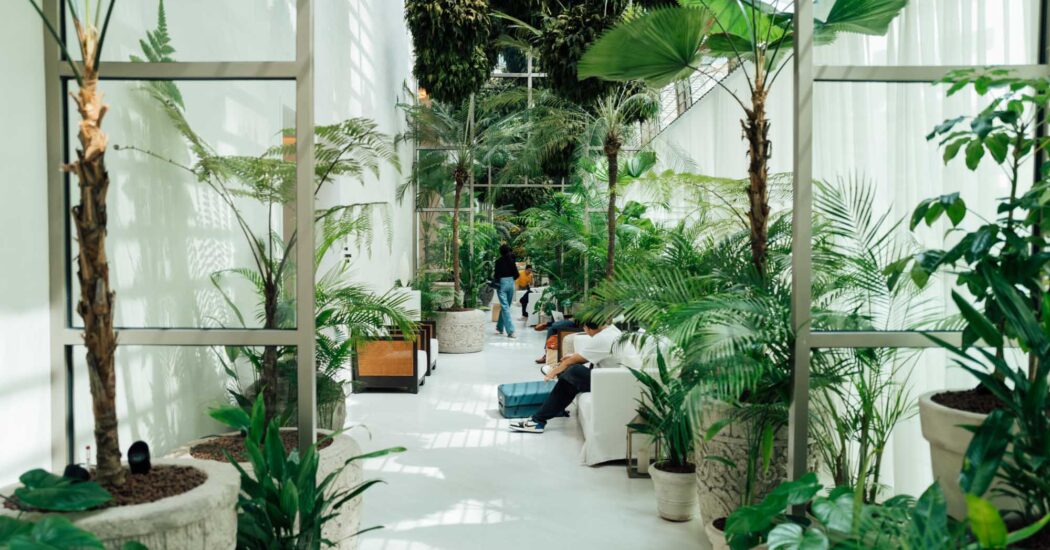 EVERYDAY OBJECT EVERYDAY OBJECT